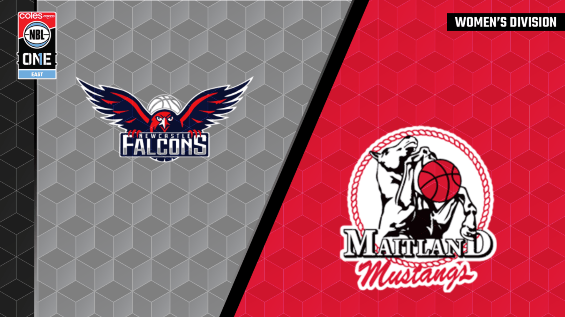 NBL1 – Your Team. Your Rivals. 1 Champion.