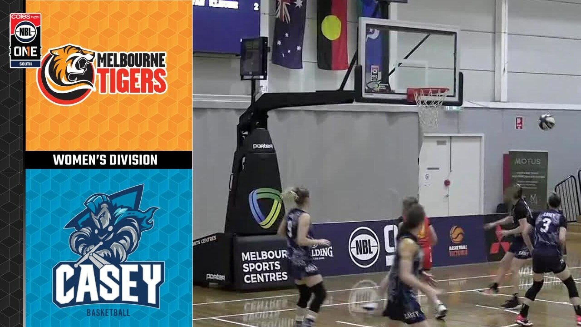 NBL1 – Your Team. Your Rivals. 1 Champion.